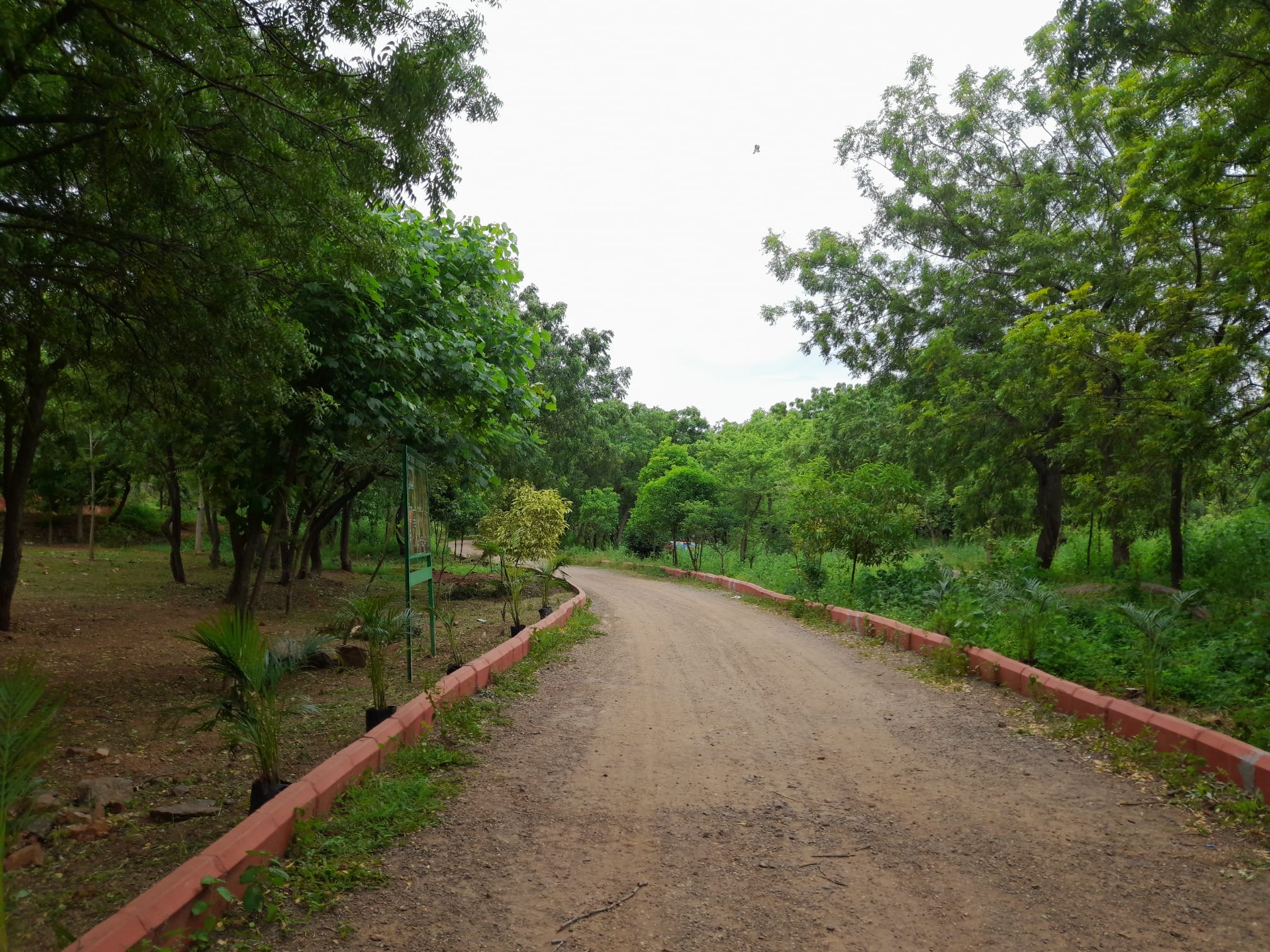 Perecharla Nagaravanam Park - The Must-visit Place If You Are Staying ...